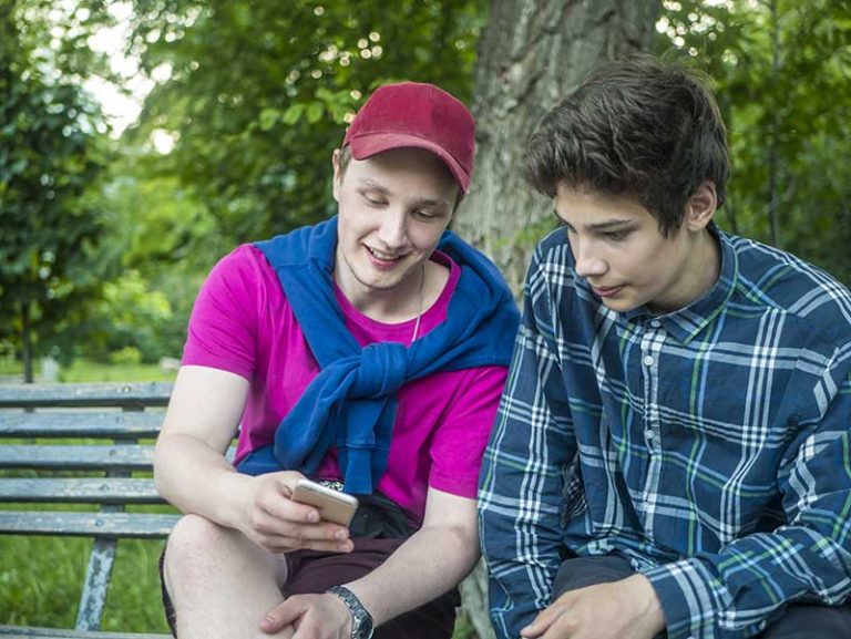 Friendship: The Key to Thriving in Life with Developmental Disabilities ...